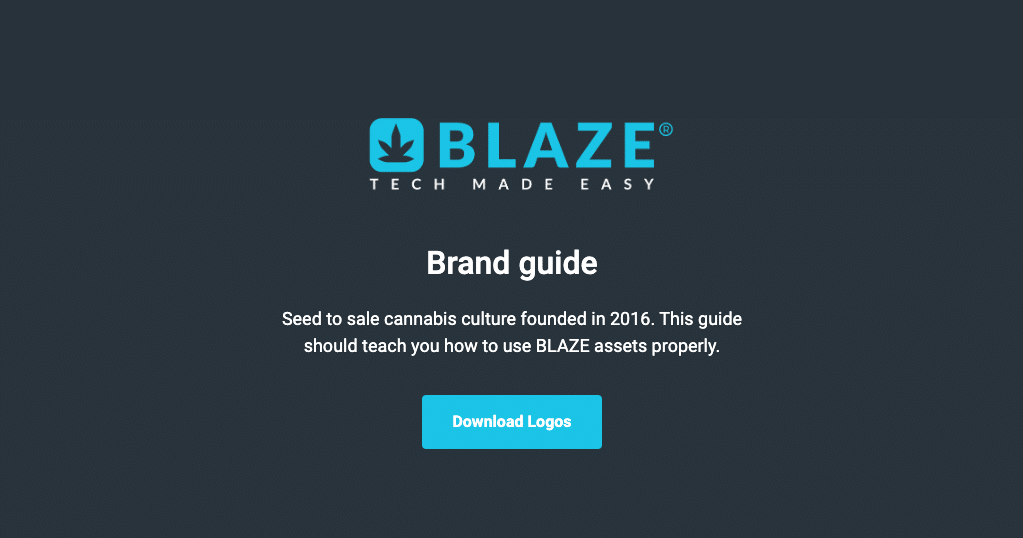 Brand Guide | BLAZE