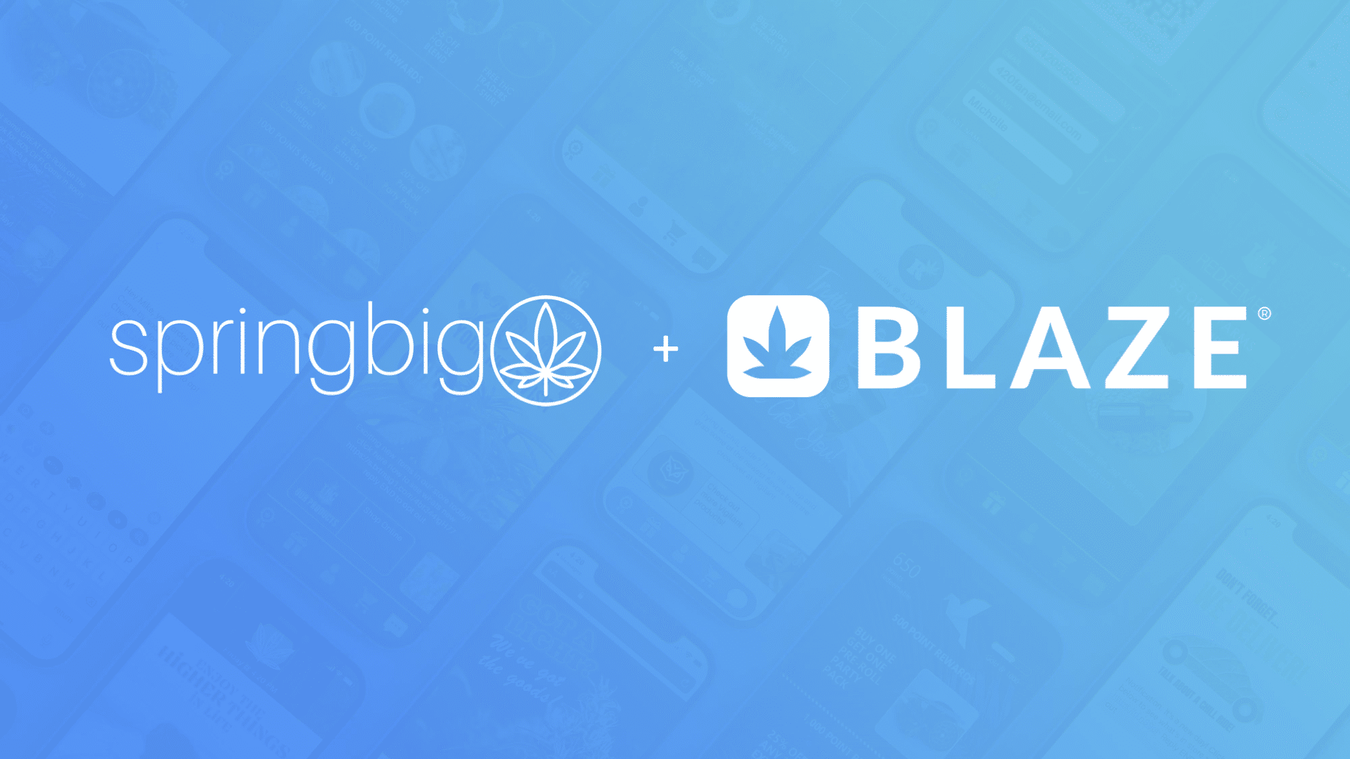 BLAZE and springbig Announce 2-Way Integration for Cannabis Loyalty Program | BLAZE