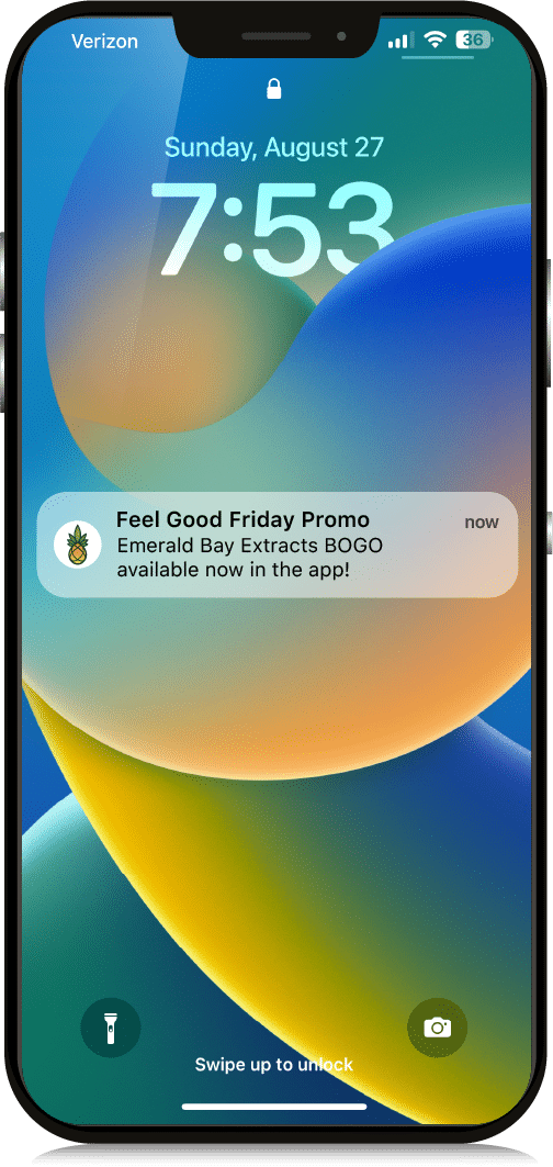 BLAZE APPS | Native Mobile Apps for Cannabis Dispensaries